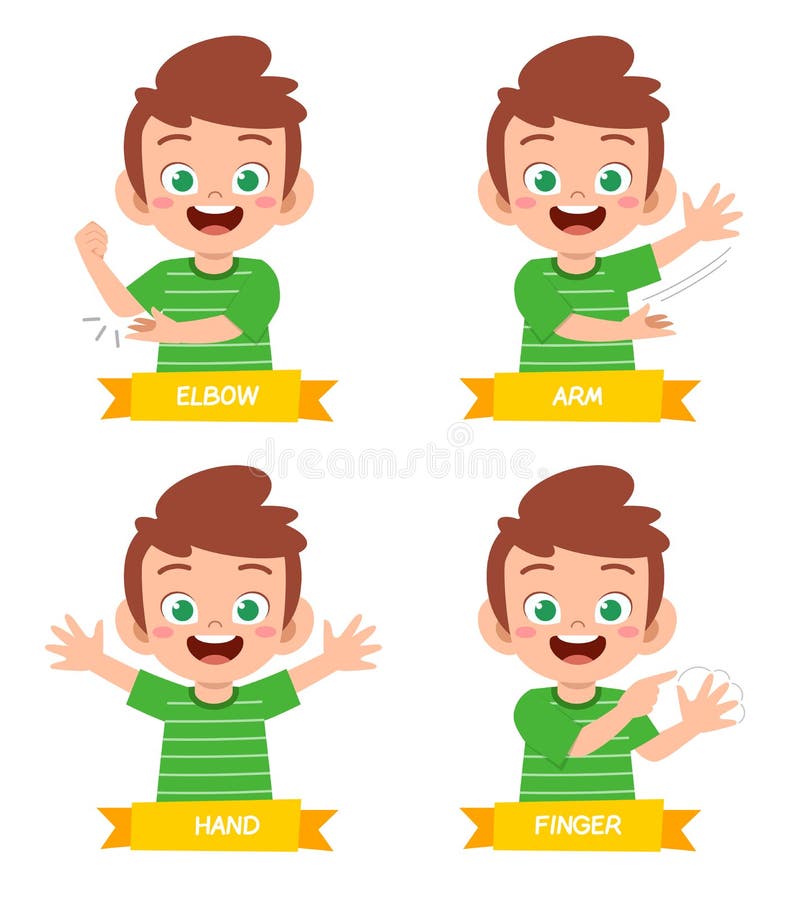 Happy Cute Kid Boy Study Body Part Anatomy Stock Vector - Illustration ...
