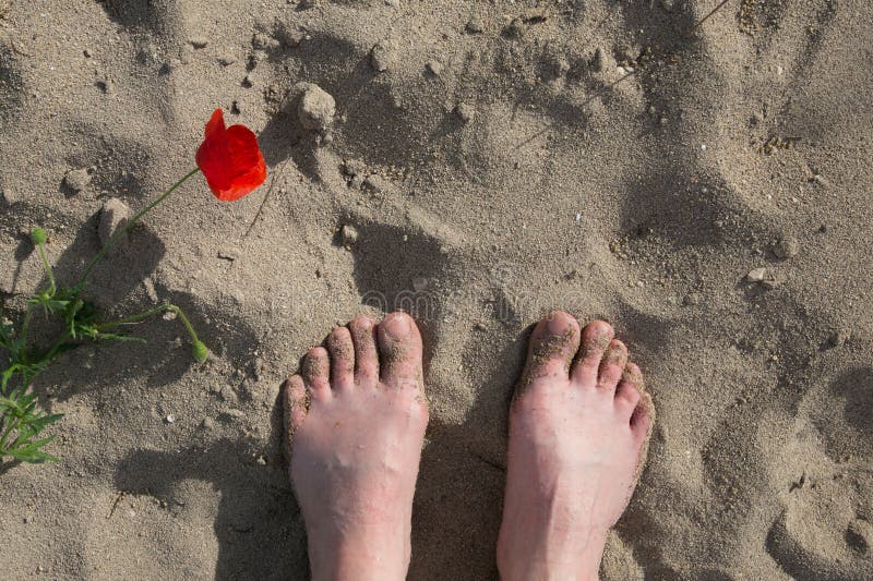 Happy Day on a Beach with Poppy Flower Stock Image - Image of relax ...
