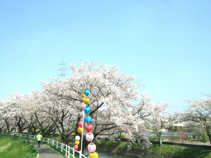 Happy day @ japan stock photo. Image of good, japan, happy - 92042768