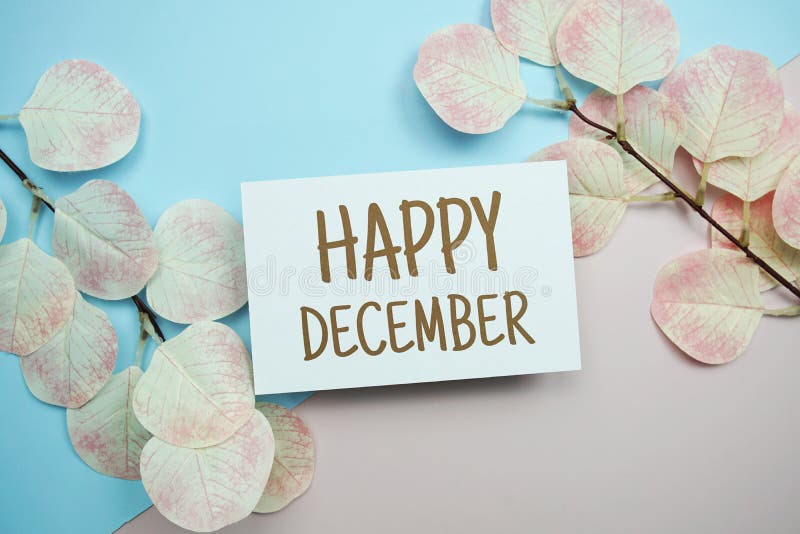Happy December Text Message with Artificial Leave on Blue and Pink ...