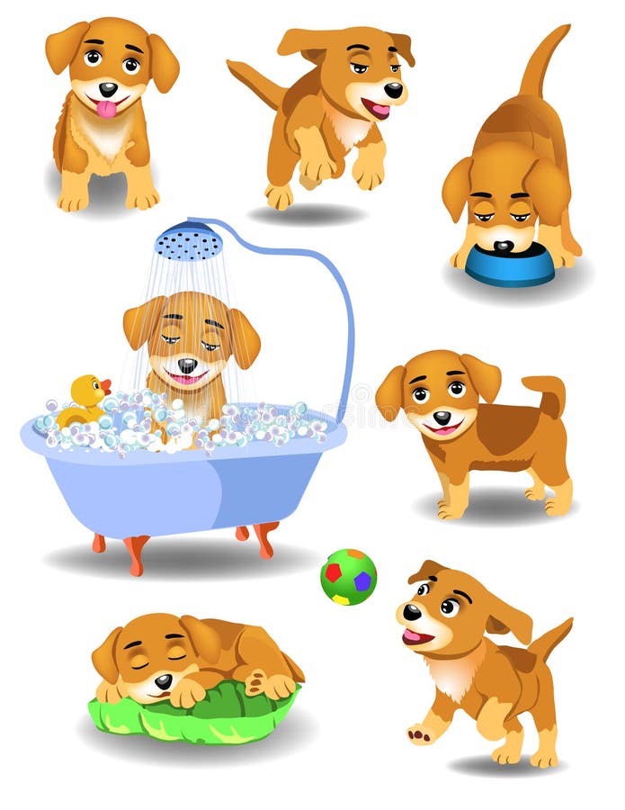 Happy Dog Doing Different Activities Stock Illustration - Illustration ...