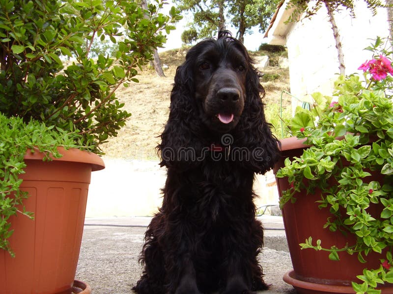 Blue Dragon Xbox Stock Photos - Free & Royalty-Free Stock Photos from ...