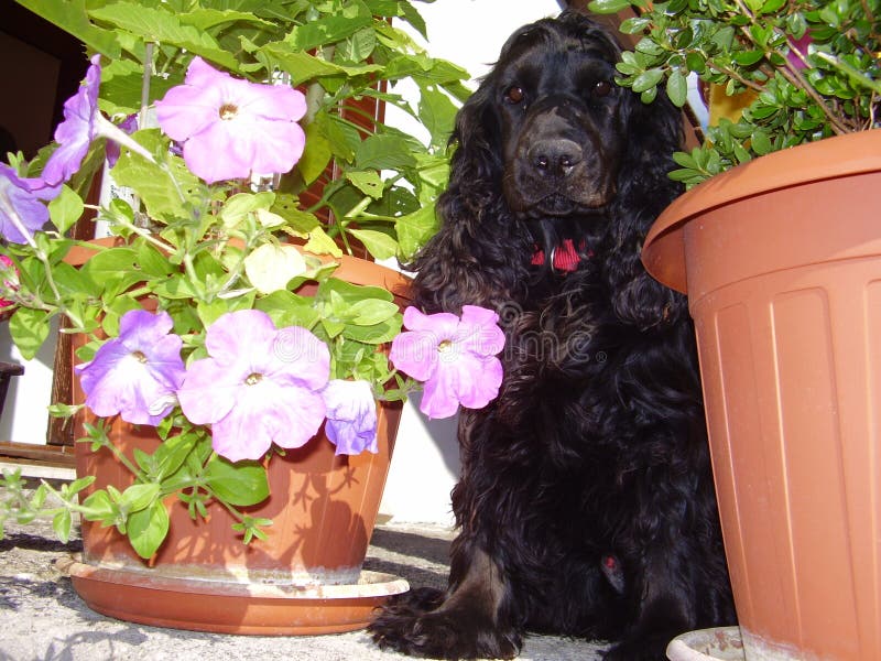 Blue Dragon Xbox Stock Photos - Free & Royalty-Free Stock Photos from ...