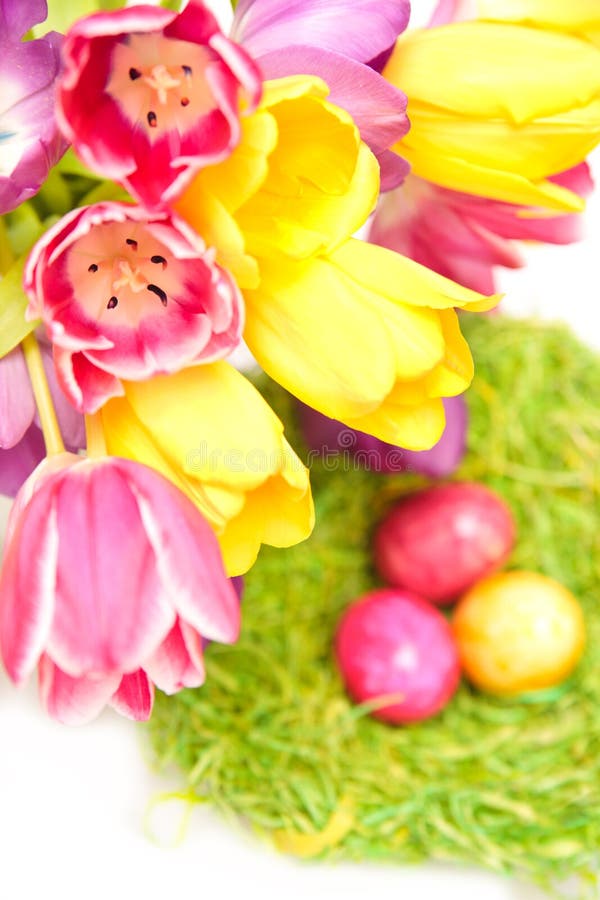 596 Delicate Frame Easter Eggs Stock Photos - Free & Royalty-Free Stock ...