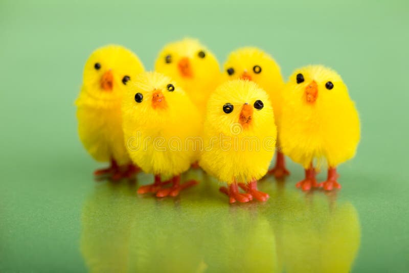 Easter Chicks in a Row stock photo. Image of large, event - 8756260