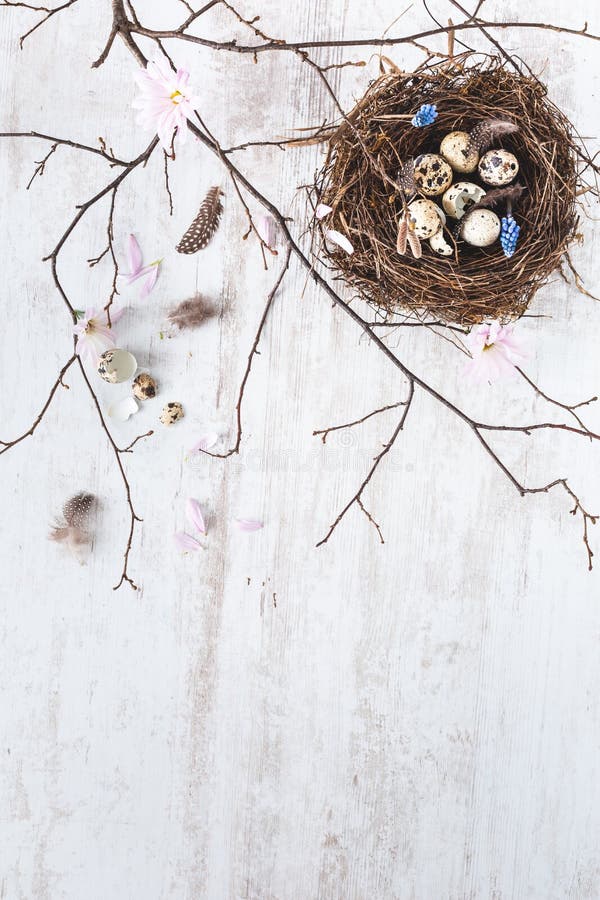 Happy Easter Background with Chocolate, Bird Nest on Tree Branch Stock ...