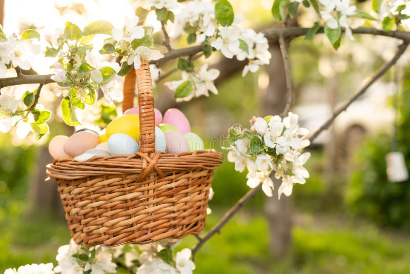 Happy Easter. Basket with Easter Eggs in Grass on a Sunny Spring Day ...