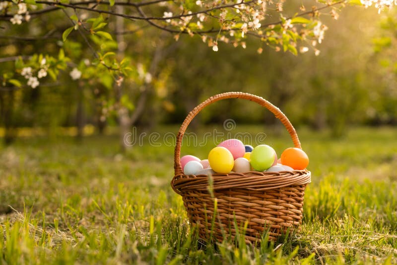 Happy Easter. Basket with Easter Eggs in Grass on a Sunny Spring Day ...