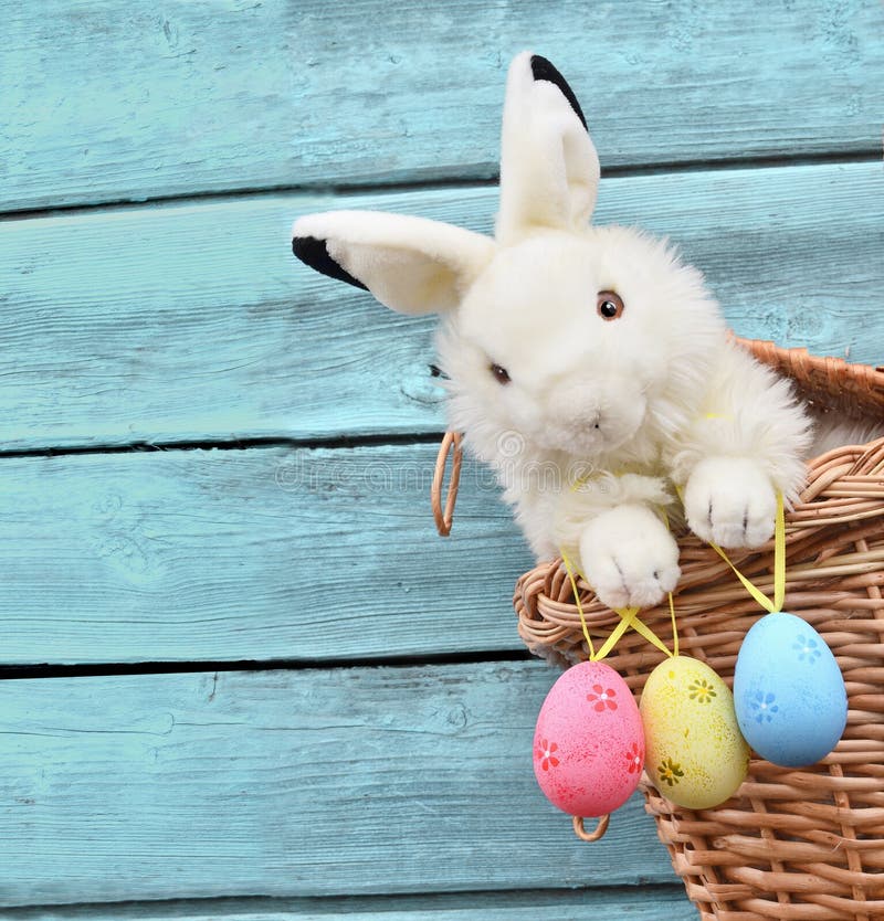 Happy Easter Bunny in Basket and Eggs on Blue Background. Stock Image ...