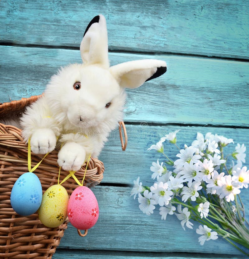 Happy Easter Bunny in Basket and Eggs on Blue Background. Stock Photo ...