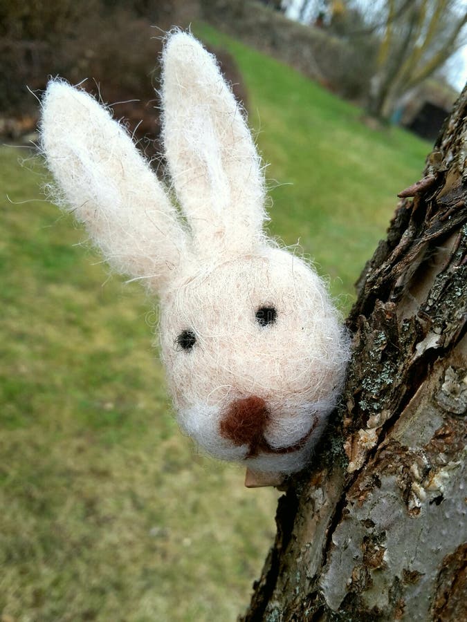 Bunny Hiding Behind Tree Lawn Stock Photos - Free & Royalty-Free Stock ...