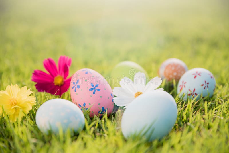 Happy Easter! Closeup Colorful Easter Eggs on Green Grass Field Stock ...