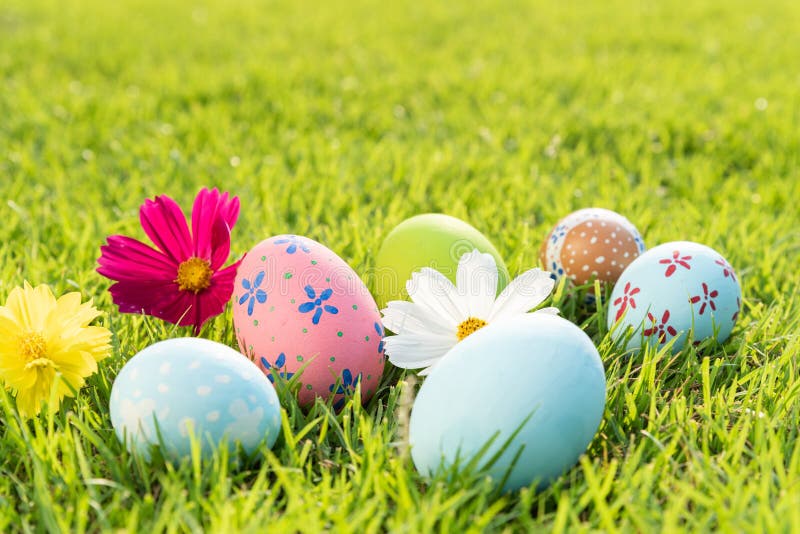 Happy Easter! Closeup Colorful Easter Eggs on Green Grass Field Stock ...