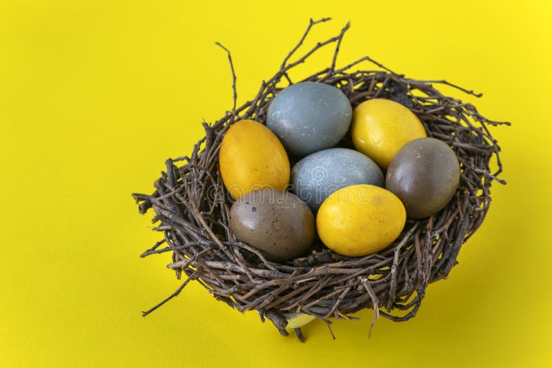 Happy Easter Concept. Colorful Easter Eggs in Birds Nest on Bright ...