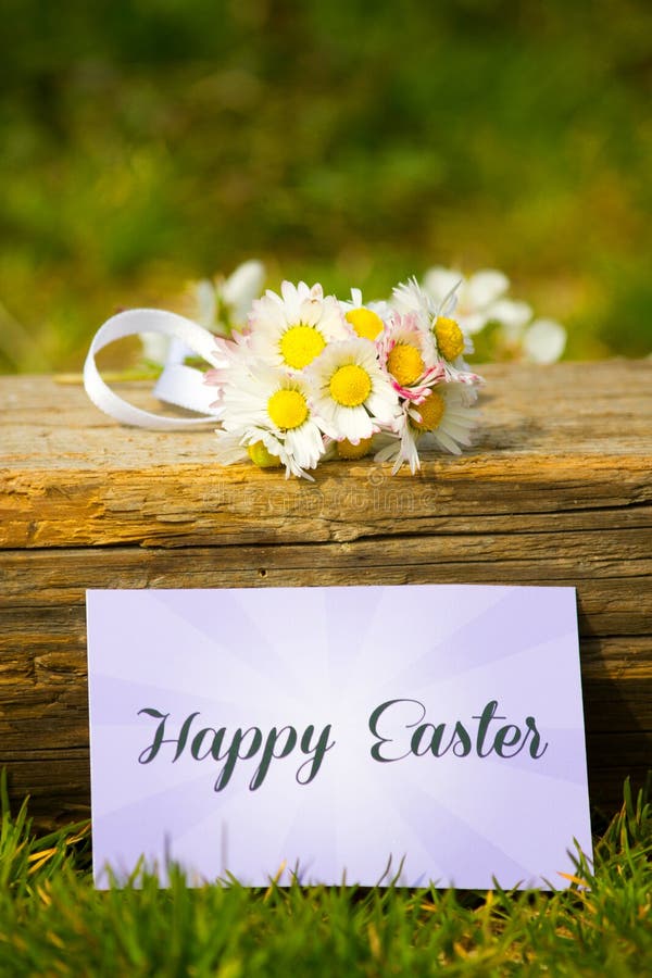 Happy Easter stock photo. Image of daisy, decorations - 38934684