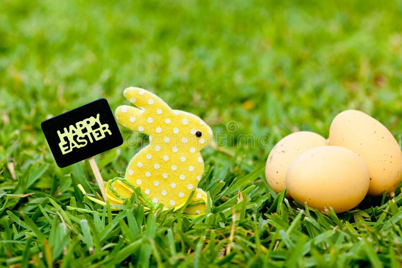 Happy Easter - Easter Bunny Stock Image - Image of event, horizontal ...