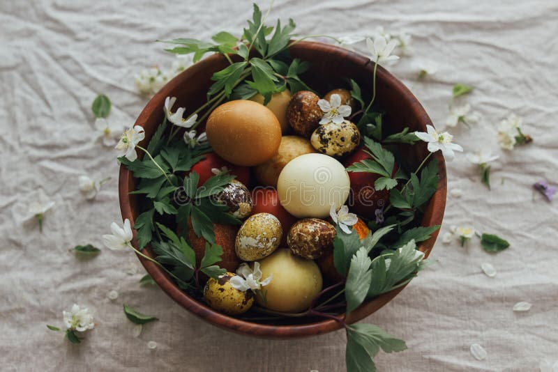 Happy Easter! Easter Eggs with Spring Flowers in Wooden Bowl on Rustic ...