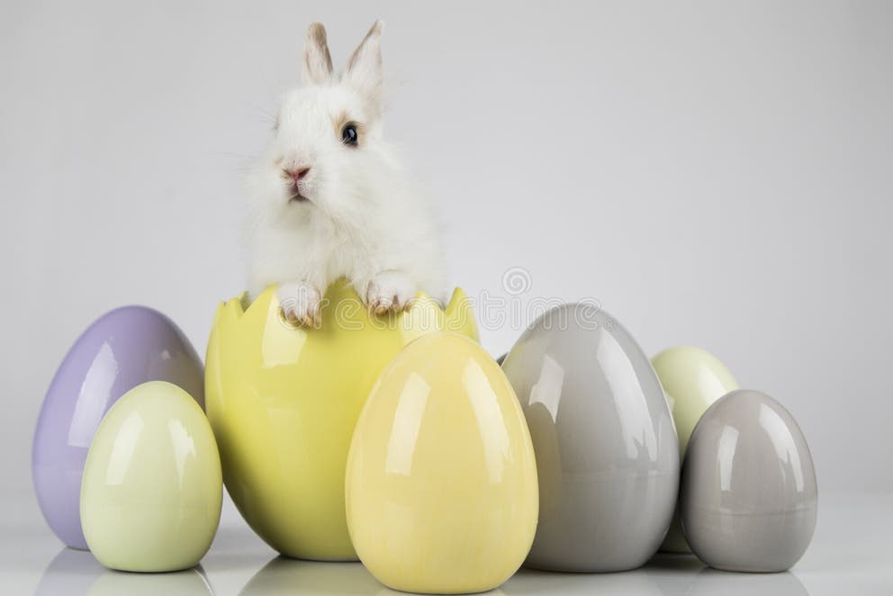 Happy Easter,Eggs, Baby Bunny Stock Photo - Image of holiday, young ...