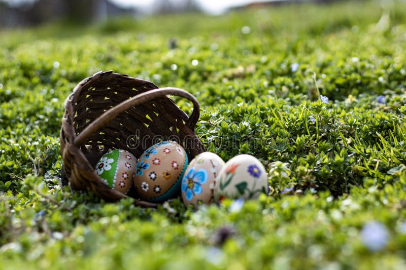 Happy Easter. Easter Eggs in the Meadow. Easter Egg Hunt Stock Image ...