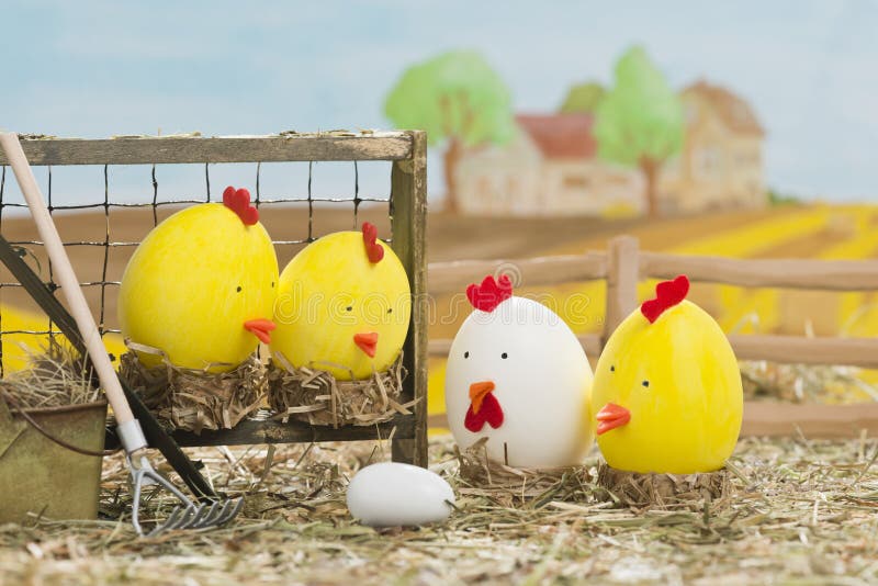 Happy Easter Egg Chickens on a Farm Stock Photo - Image of farm ...