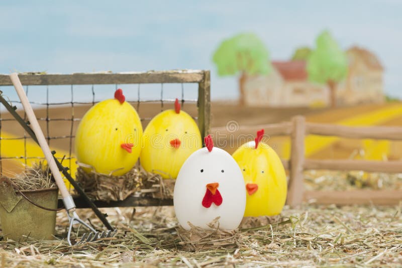 Happy Easter Egg Chickens on a Farm Stock Photo - Image of funny ...