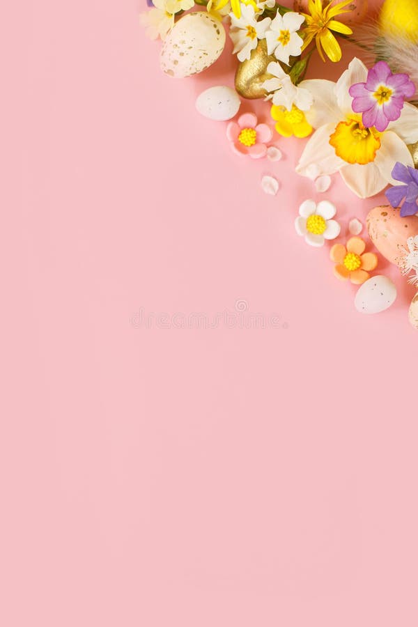 Happy Easter! Easter Flat Lay with Stylish Eggs and Blooming Spring Flowers on Pink Background ...