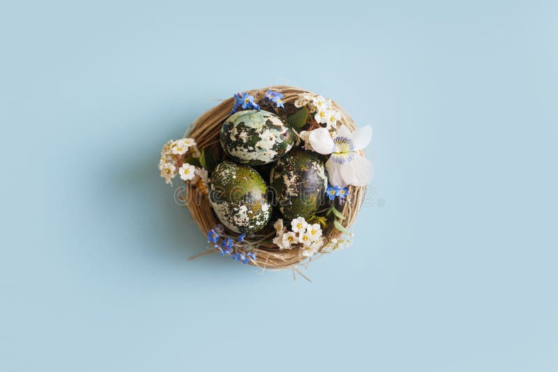 Happy Easter! Modern Green Eggs in Nest with Spring Blossom Flat Lay ...