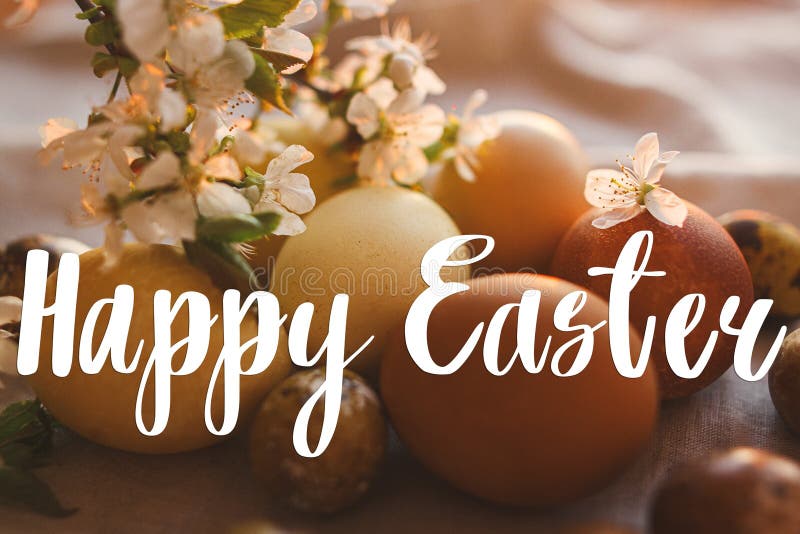 Happy Easter Text on Modern Pastel Easter Eggs with Cherry Blossoms on ...