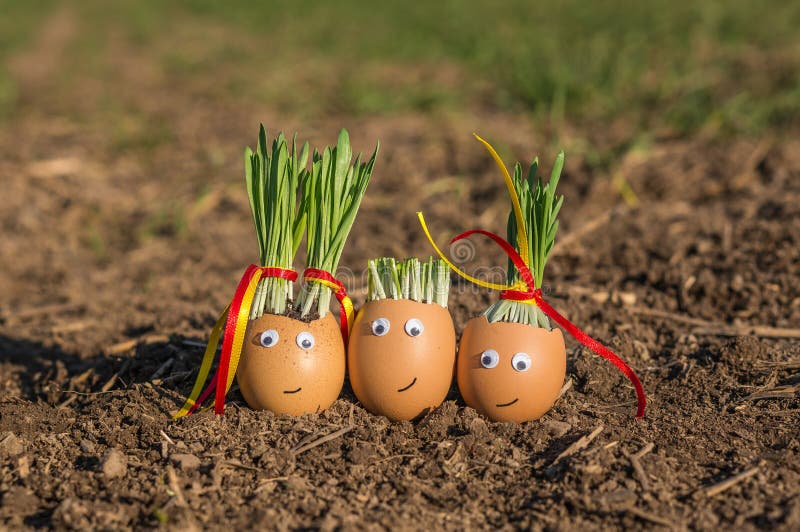 Happy eggs stock photo. Image of eggs, family, together - 52019070