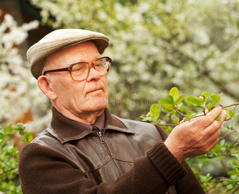 Old man digging in garden stock image. Image of flowers - 10230161
