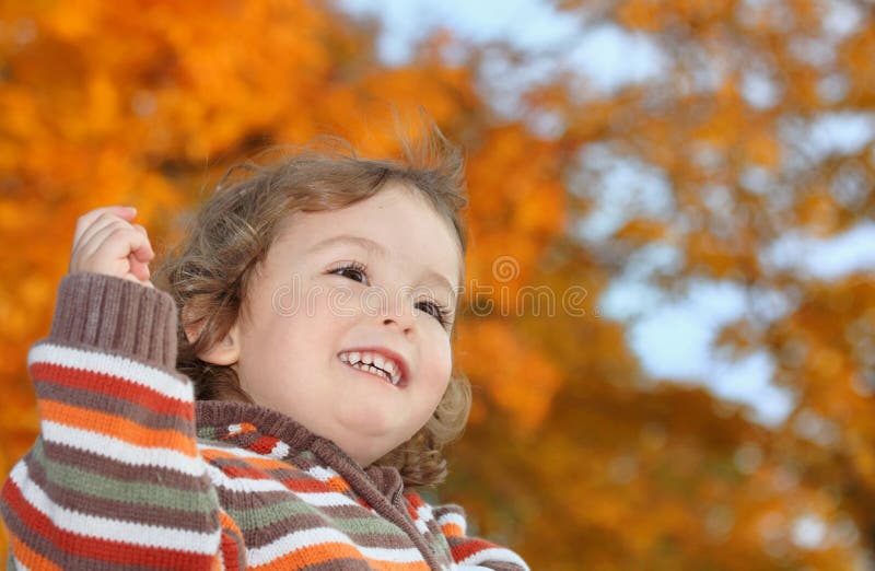 Happy face stock image. Image of quebec, fall, nature - 27030585