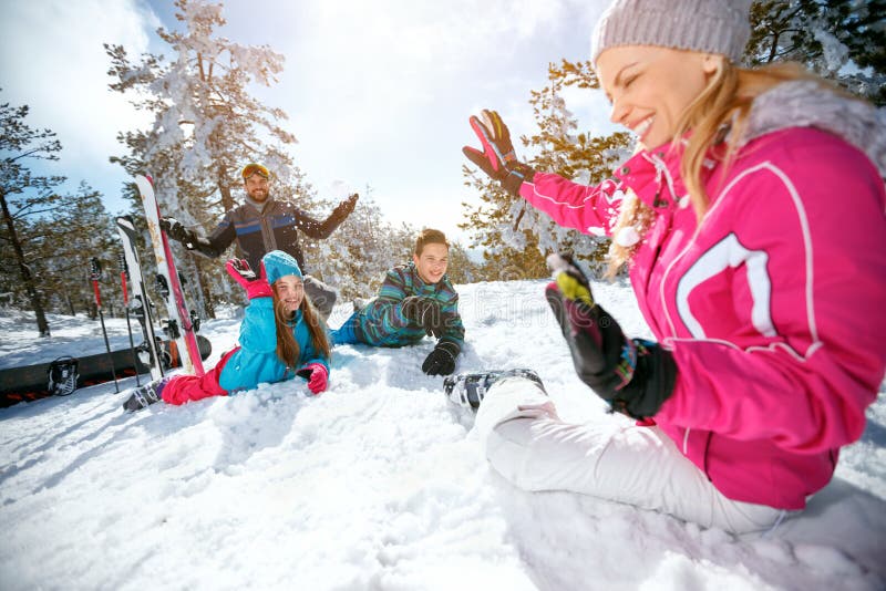 Snow Time stock photo. Image of flora, snow, shnow, details - 83391846