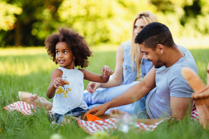 Happy Family Having Fun Time on Picnic Stock Photo - Image of family ...