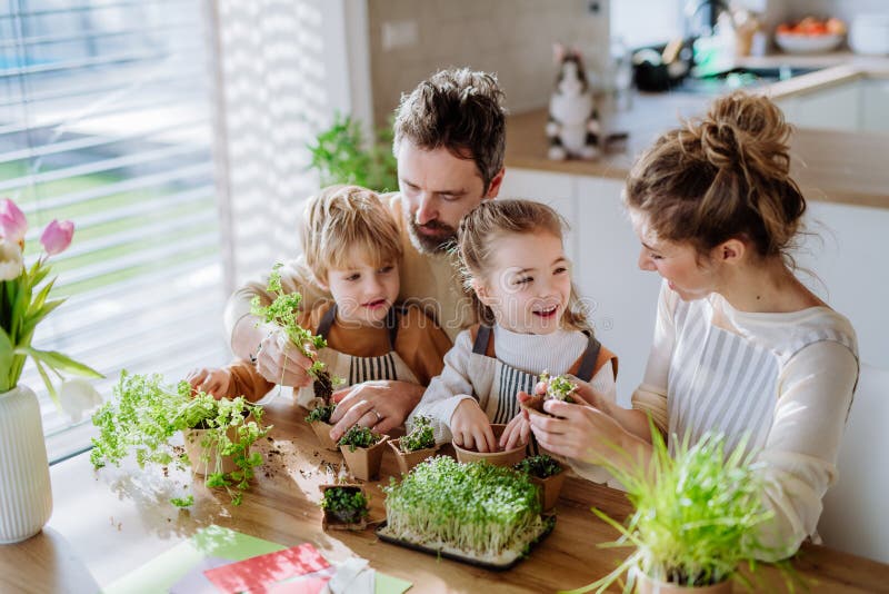 Happy Family Planting Herbs Together at Spring. Stock Image - Image of ...