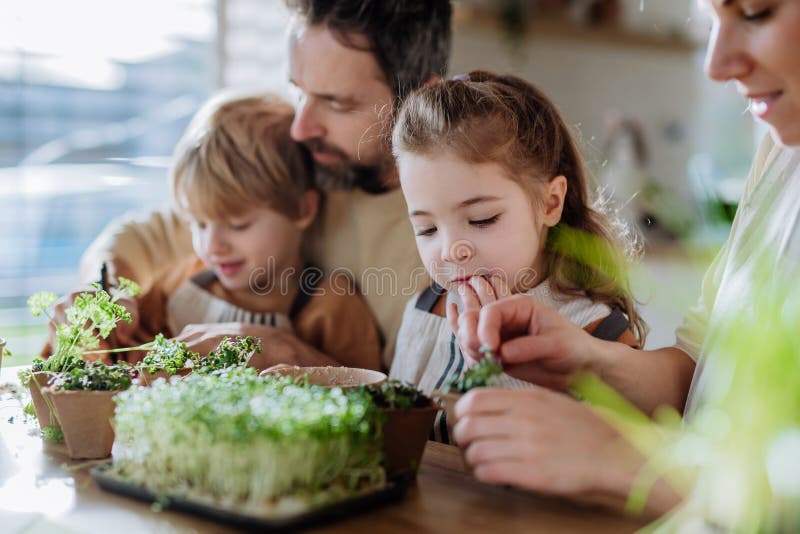 Happy Family Planting Herbs Together at Spring. Stock Photo - Image of ...
