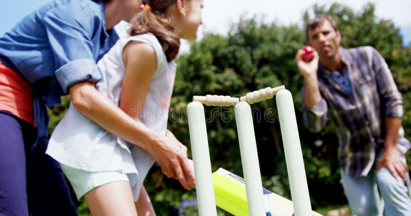 Family Playing Cricket in Park Stock Video - Video of ball, highspeed ...
