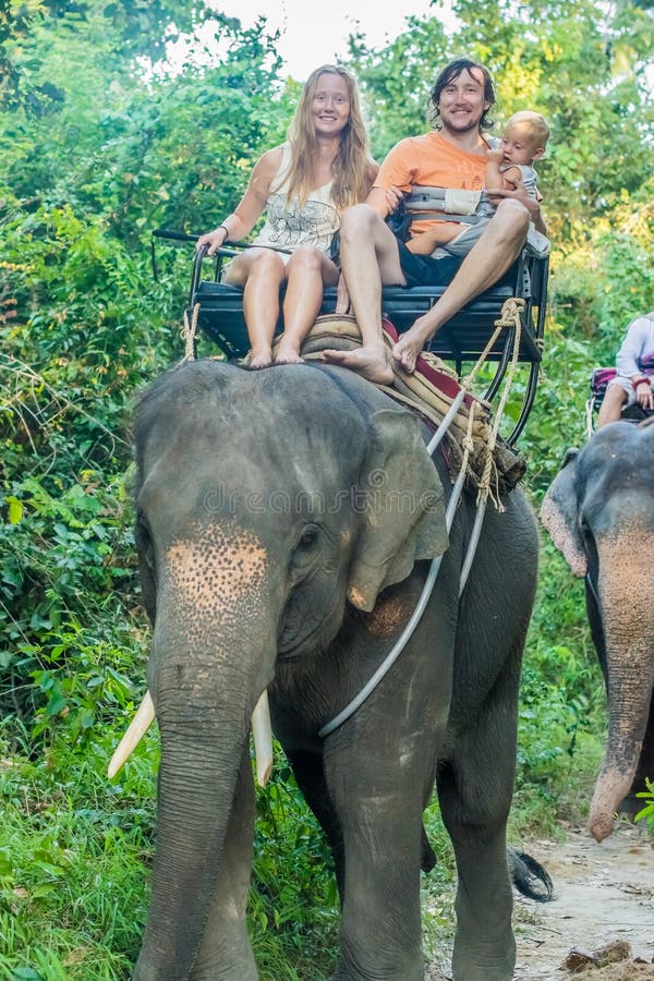Happy Family Riding on an Elephant Stock Photo - Image of cute, ride ...