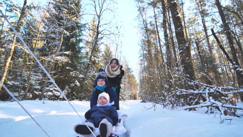A Happy Family Sledding in the Woods. Stock Footage - Video of ...