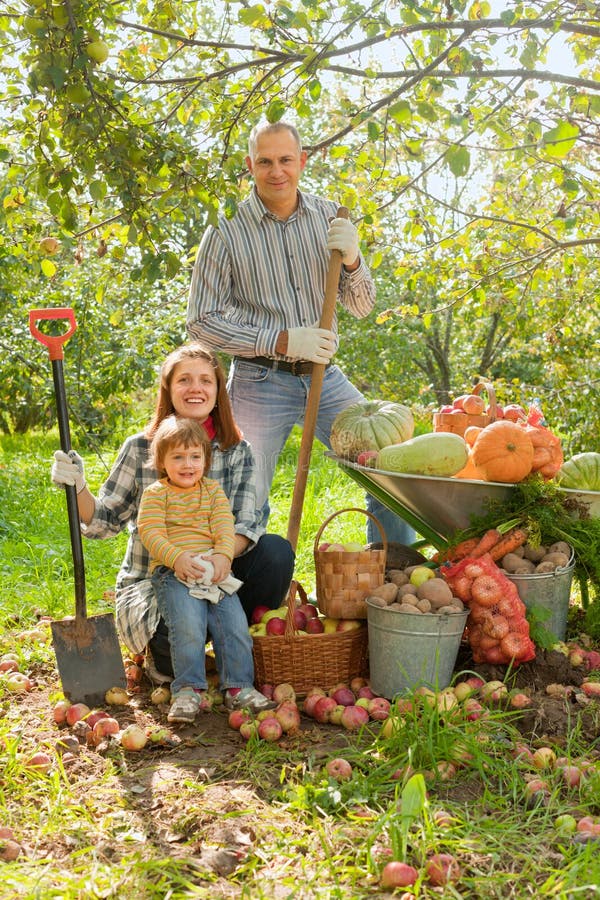 Happy Family with Vegetables Harvest Stock Image - Image of barrow ...