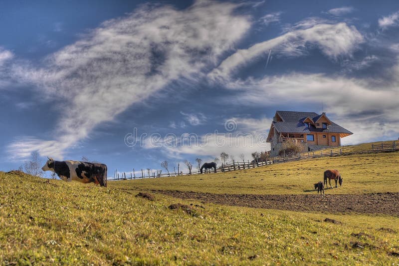 Happy farm stock photo. Image of perspective, rocks, sunset - 333386