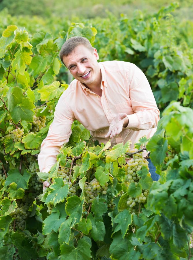 Happy farmer stock image. Image of gardening, plant, house - 19384661