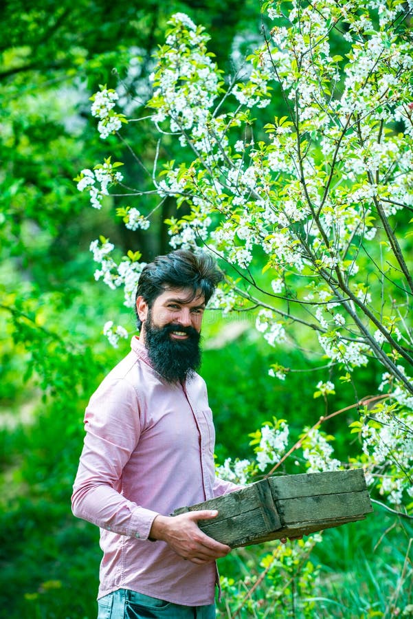 203 Background Manly Spring Stock Photos - Free & Royalty-Free Stock ...