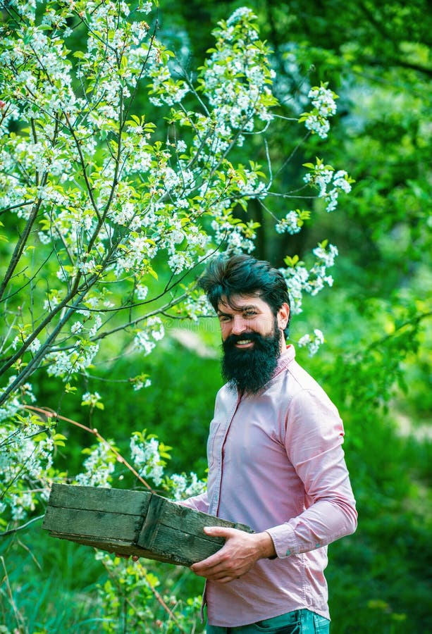 Happy Farmer Hold Box. Farmer. Farmer Planting in the Vegetable Garden ...