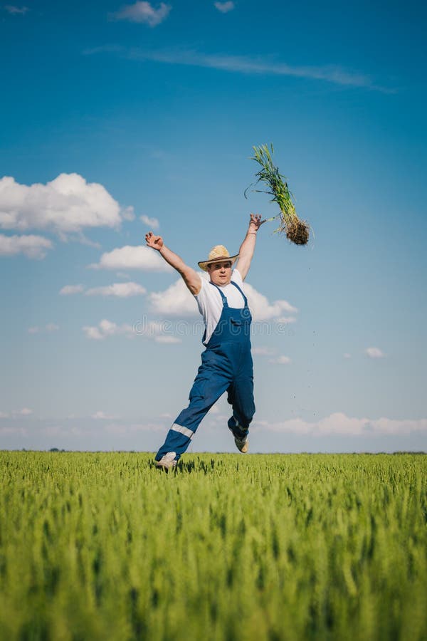 Happy farmer in the wheat stock photo. Image of standing - 40842526
