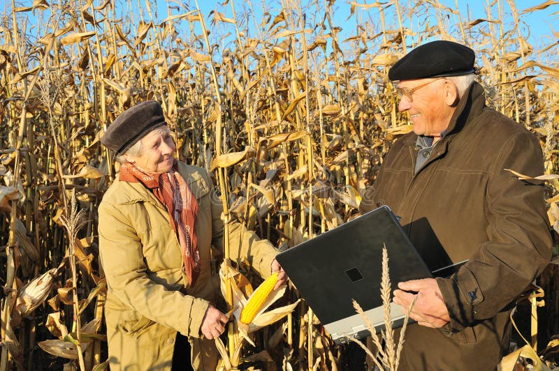 Happy farmers in field stock image. Image of happiness - 6957217
