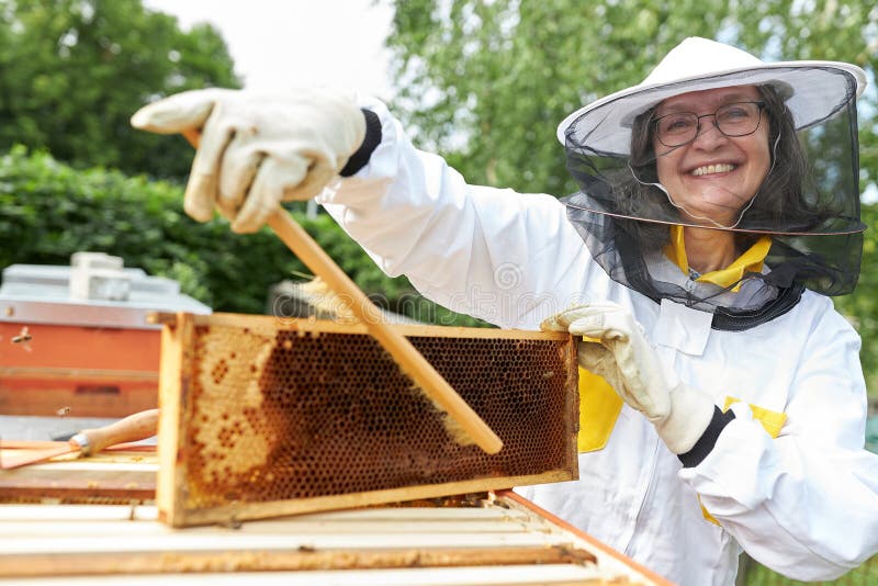 Happy Female Beekeeper Using Brush on Honeycomb Frame Stock Photo ...