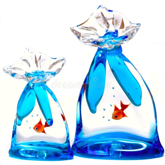 7,810 Happy Aquarium Fish Stock Photos - Free & Royalty-Free Stock ...