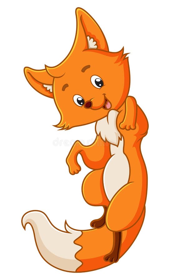 The Happy Fox is Standing and Jumping with the Cute Expression Stock ...