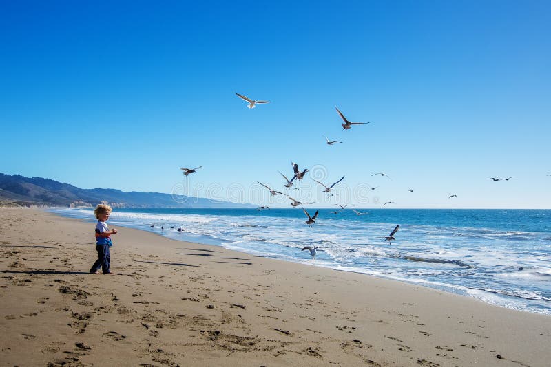 Happy and Free Boy on the Beach with Seagulls Stock Image - Image of ...