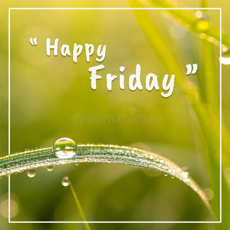 186 Happy Tuesday Spring Images Stock Photos - Free & Royalty-Free ...